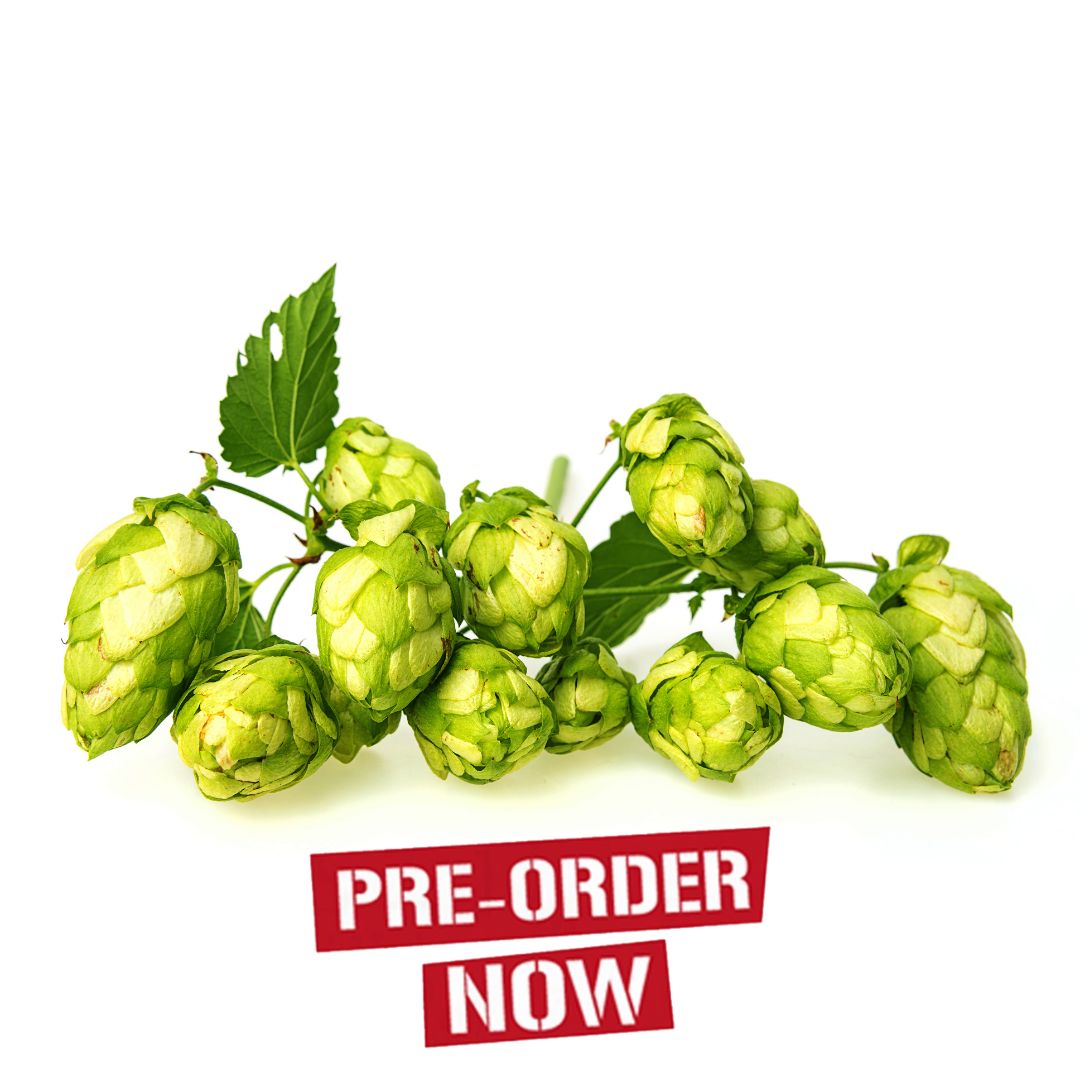 Spalt – A Plus Hops